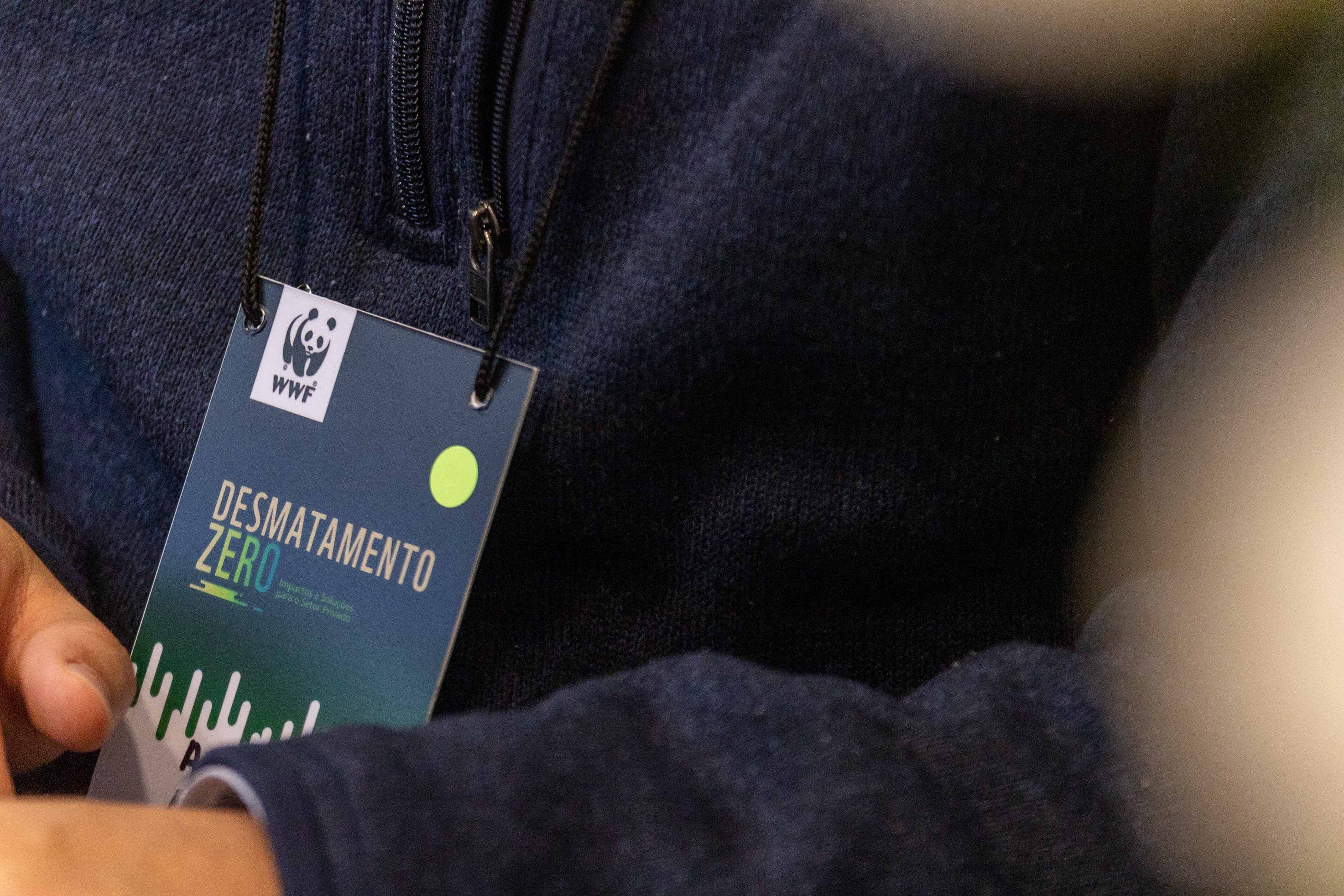 WWF-Brasil mobiliza setor privado para soluções desmatamento zero | WWF ...