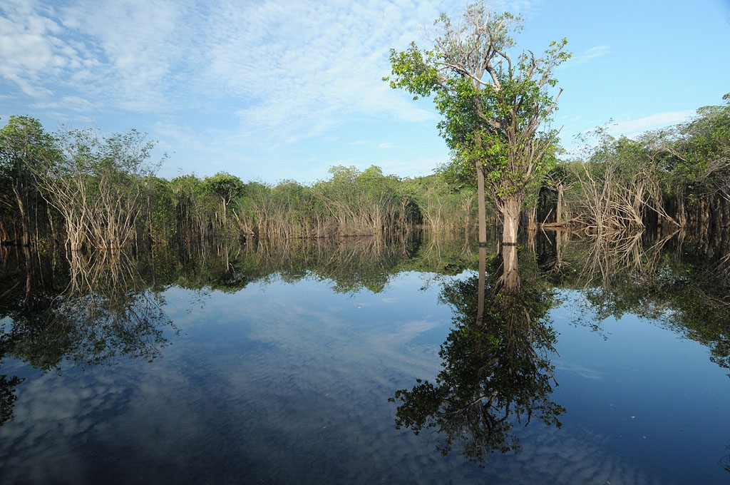 O buraco do tatu | WWF Brasil