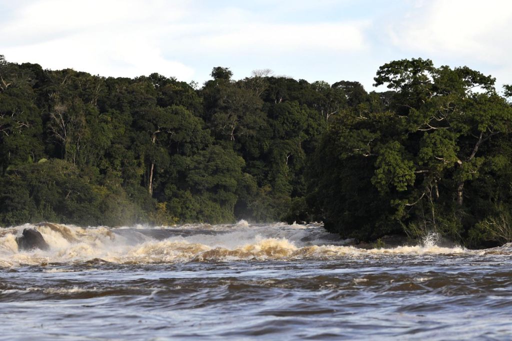 Ecoturismo é caminho viável para o Mosaico de conservação do Apuí no ...