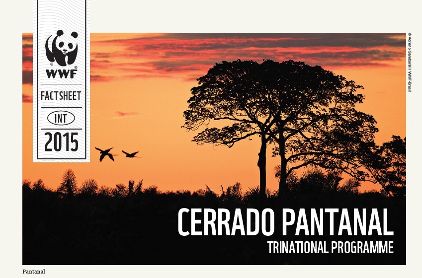 Factsheet Cerrado Pantanal Programme | WWF Brasil