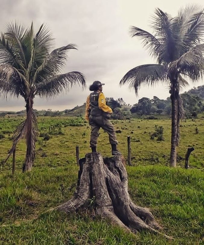O que é guarda-parque? Conheça quem cuida e valoriza áreas protegidas ...