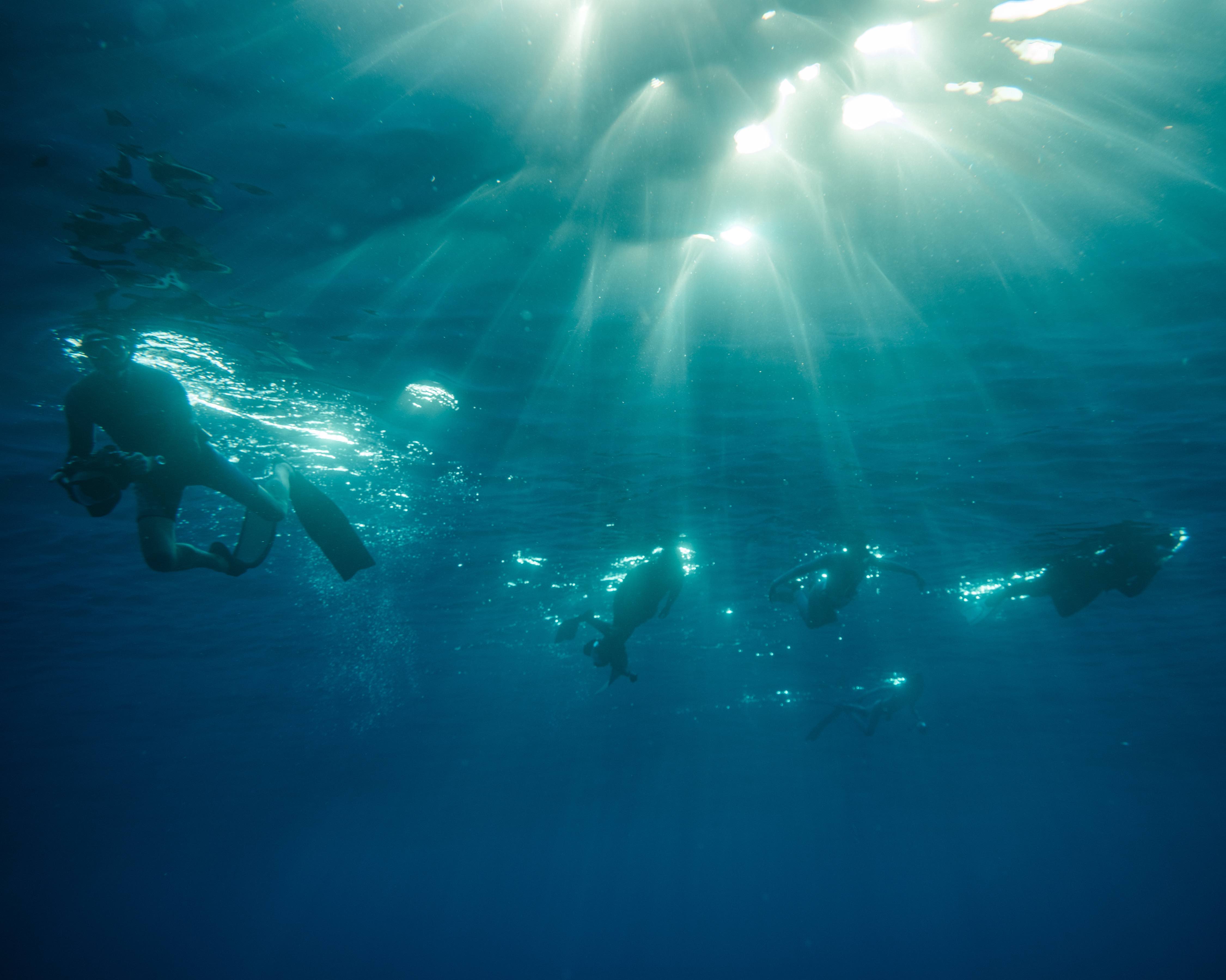 Expedição Atlantis e a conexão com o azul profundo | WWF Brasil