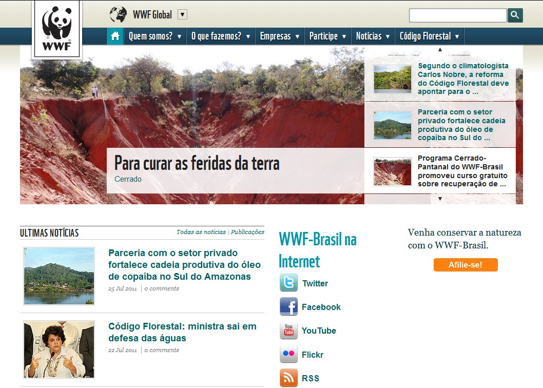 Novo visual nos 15 anos do WWF-Brasil | WWF Brasil