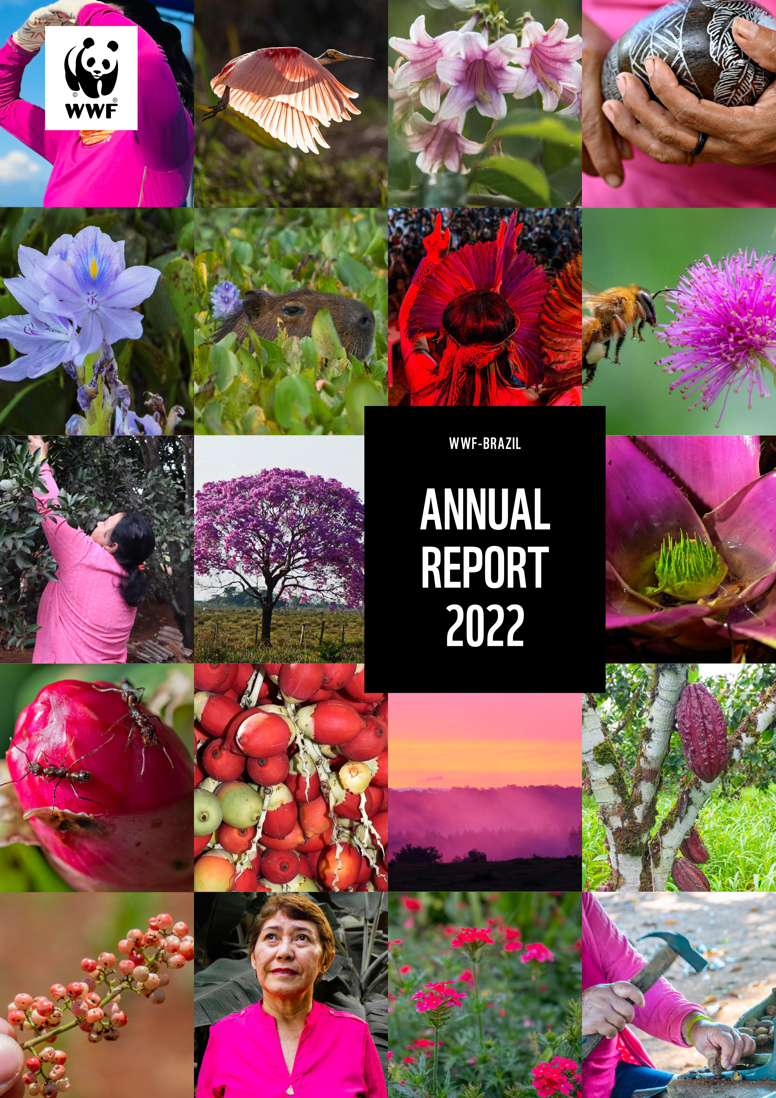 Annual Report 2022: We don't do anything alone | WWF Brasil