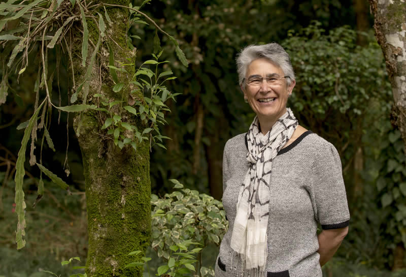 Amazônia no Rio | WWF Brasil